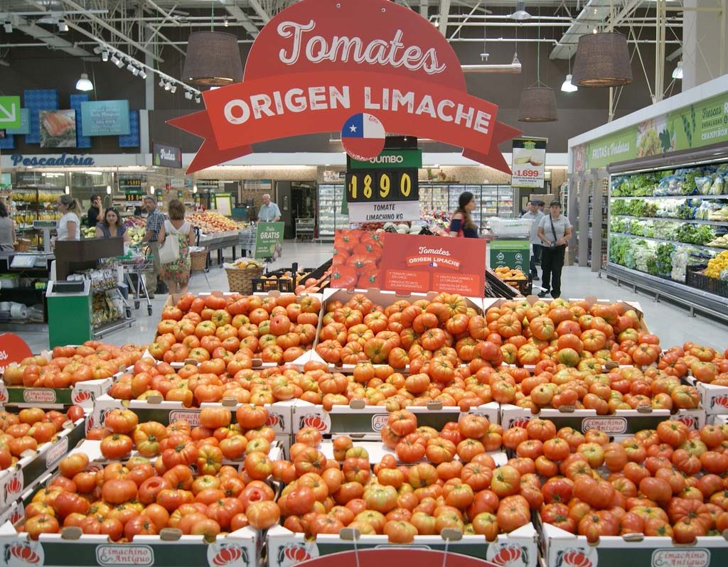 Tomate limachino es comercializado en supermercados de la región ...