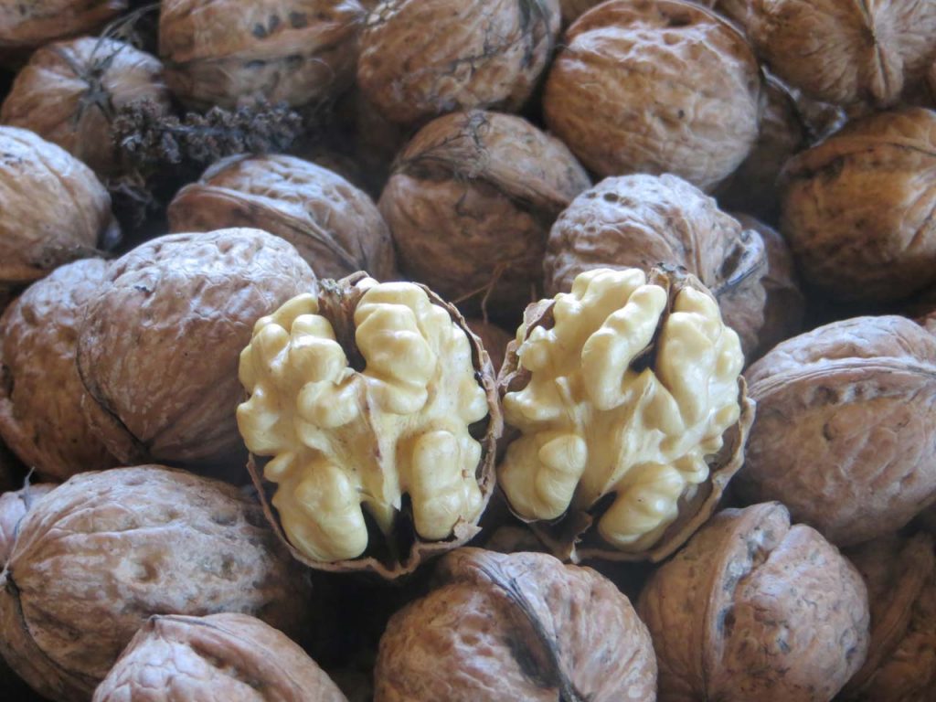 Análisis de la temporada 2019/2020 respecto a la productividad y ...