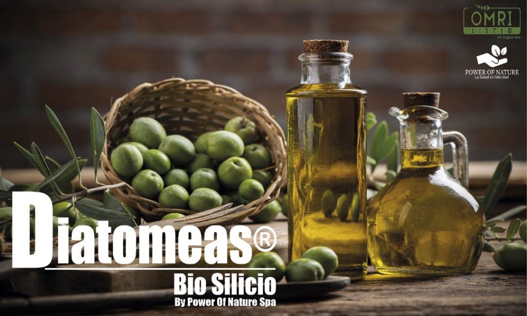 Olivos - aceitunas y aceites...DIATOMEA una solución orgánica y ...