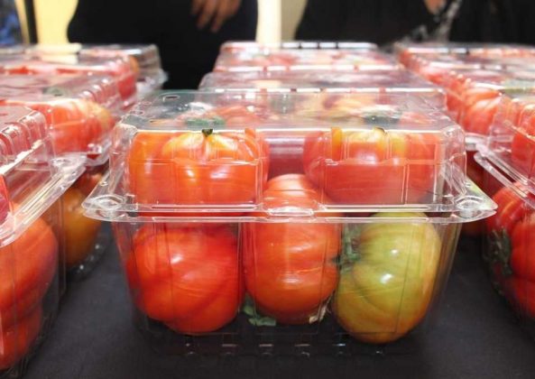 ¿Qué sabemos sobre los tomates del país? Tres investigadores ...