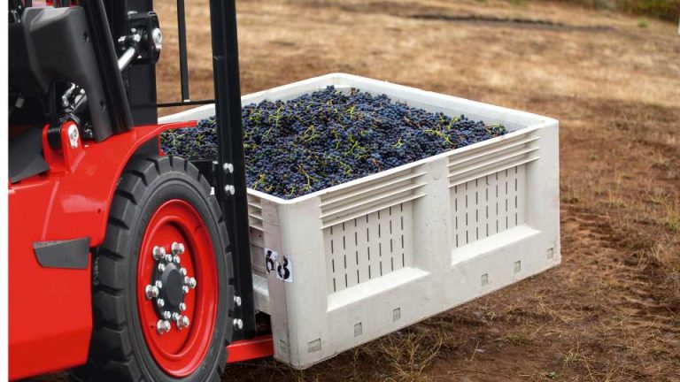 ¿Por qué es clave la logística para un óptimo funcionamiento de un packing agrícola? - Portal ...