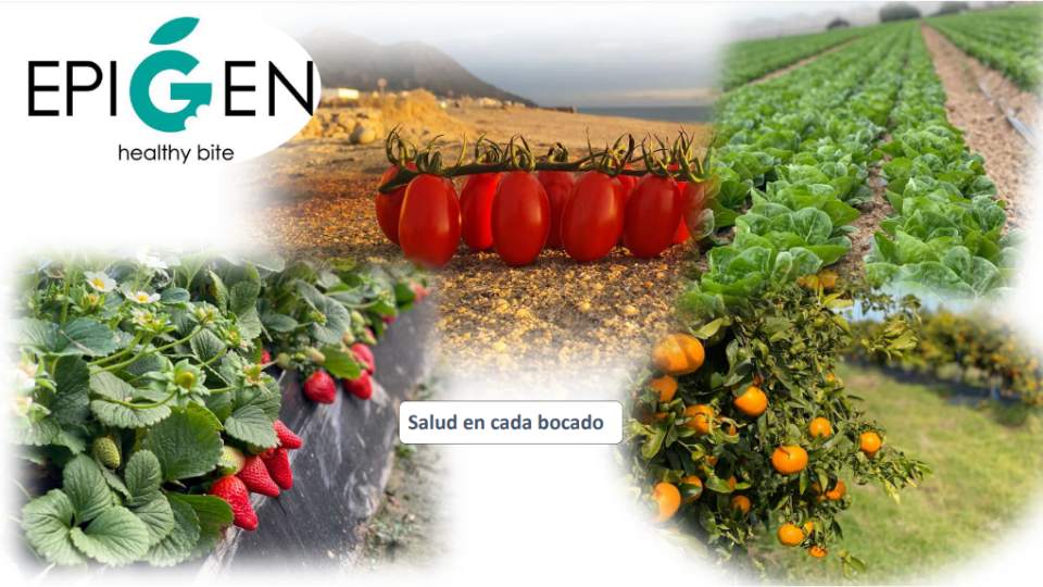 Epigen: ciencia aplicada a la industria agroalimentaria - Portal Agro Chile