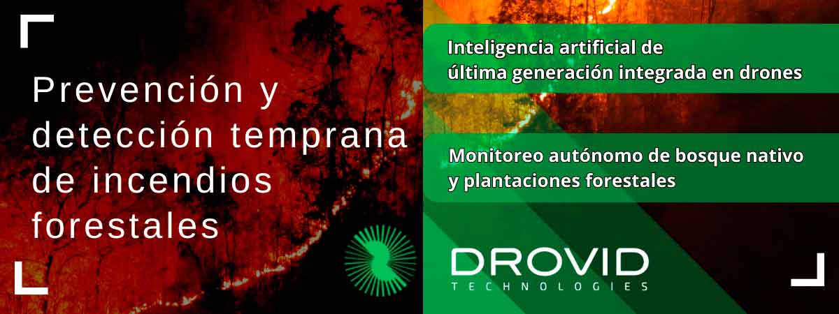 Todo lo que se debe saber para la prevención de incendios forestales ...