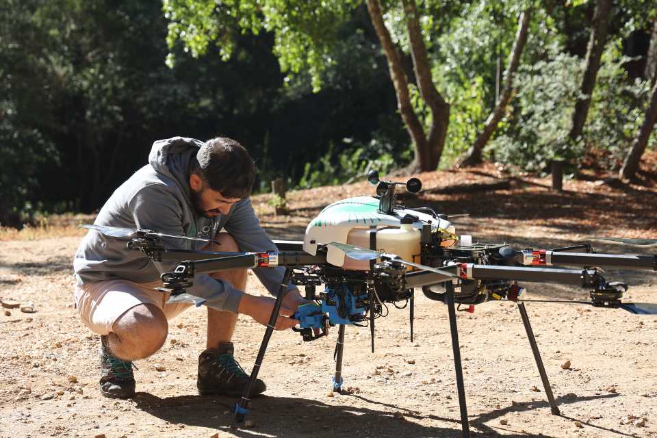 Drovid Technologies Revoluciona la Protección Forestal con Tecnología ...