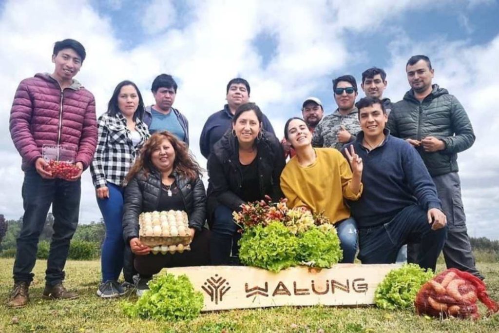 Impulso sostenible en el sur de Chile: PepsiCo y alianzas estratégicas ...